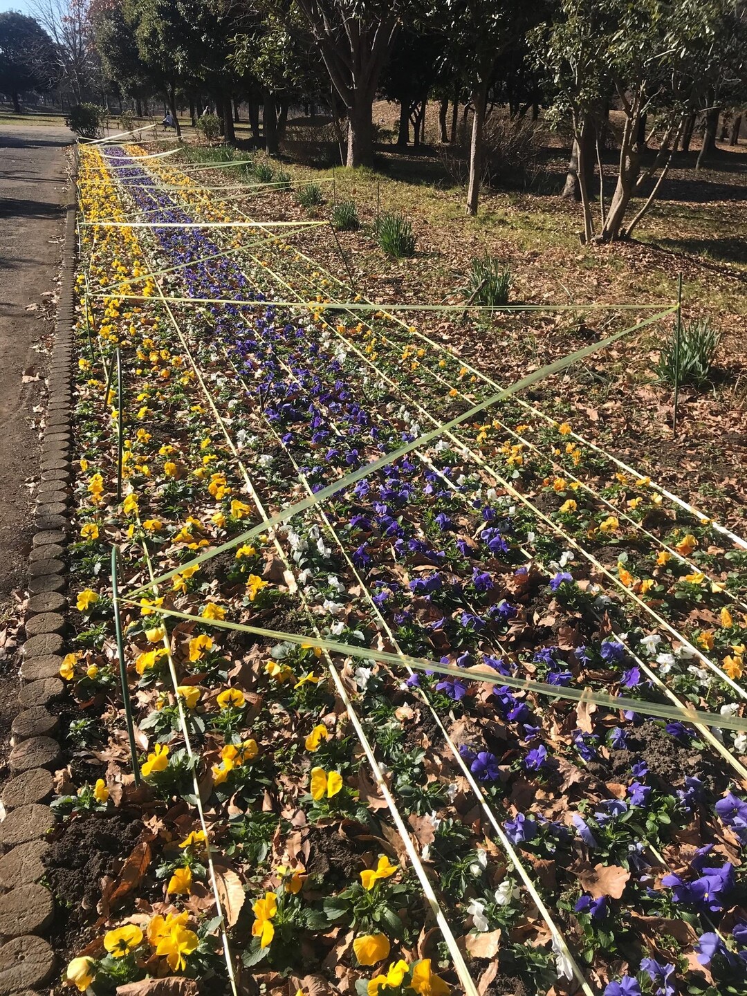 本年もよろしくお願いします。良い年となり... / drankmonkeyさんのモーメント | YAMAP / ヤマップ