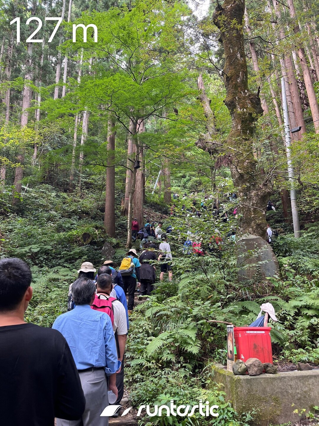 多宝山〜群衆登山の弥彦山イベントに巻き込まれて / Natty Mt.さんの弥彦山・多宝山・雨乞山の活動データ | YAMAP / ヤマップ
