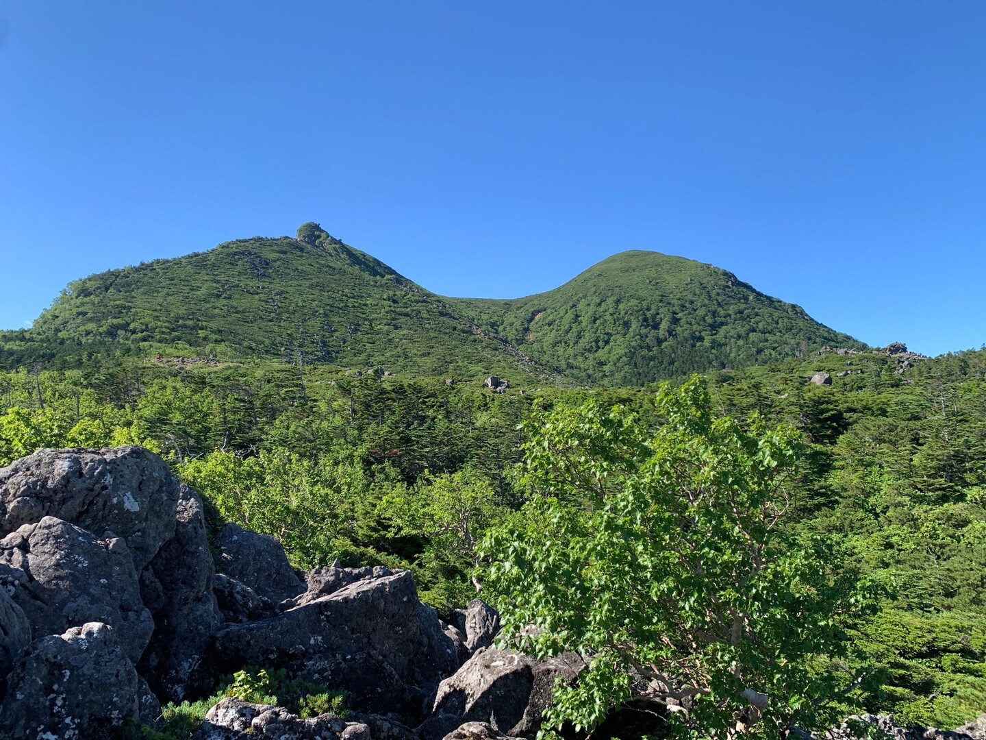 東天狗岳・天狗岳（西天狗岳） / ma-tinさんの八ヶ岳（赤岳・硫黄岳・天狗岳）の活動日記 | YAMAP / ヤマップ