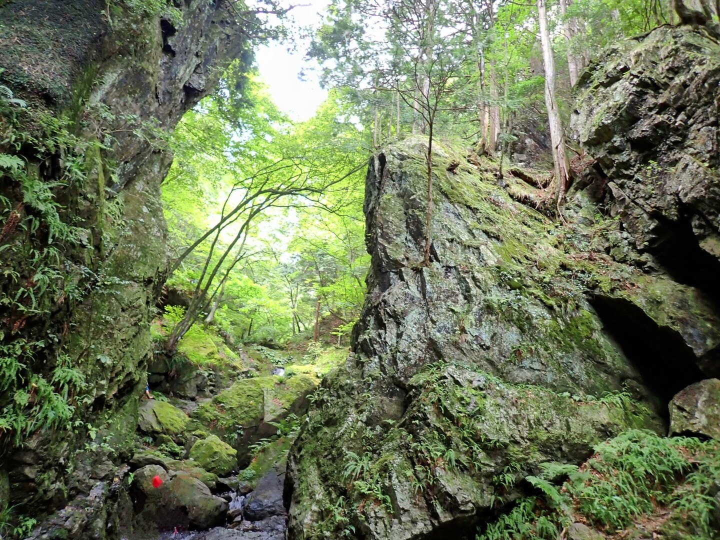 棒ノ嶺 涼しいのはゴルジュ帯だけだね(⁠*⁠_⁠*⁠) / sai。さんの武甲山・伊豆ヶ岳・小持山の活動データ | YAMAP / ヤマップ