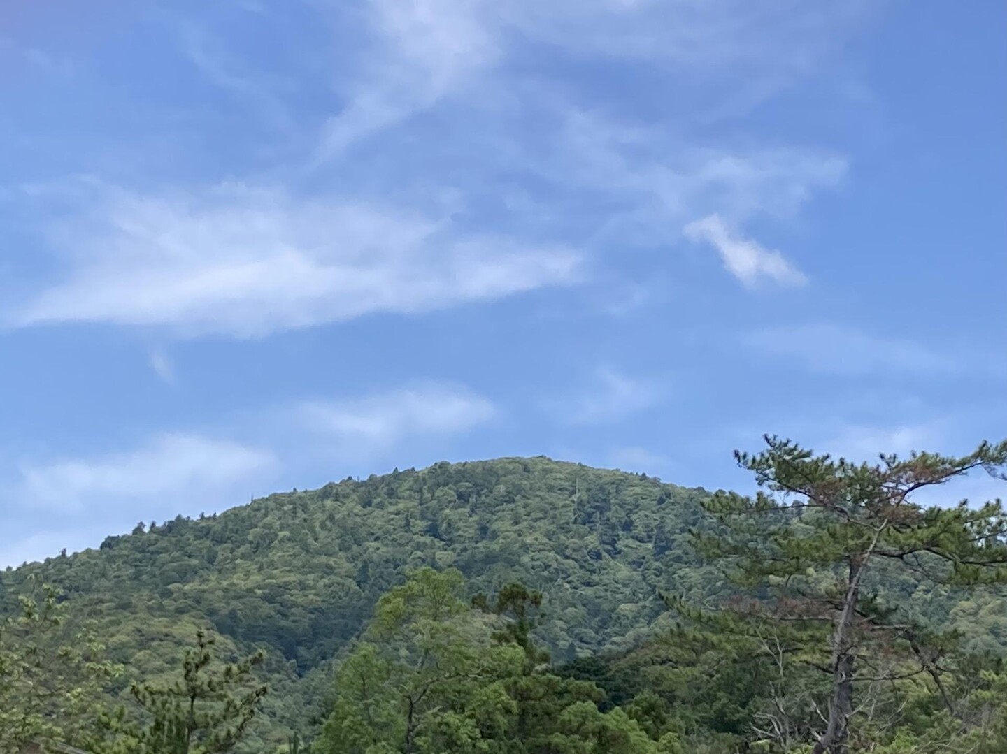 三輪山 / PB-4さんの三輪山・巻向山・龍王山の活動データ | YAMAP / ヤマップ