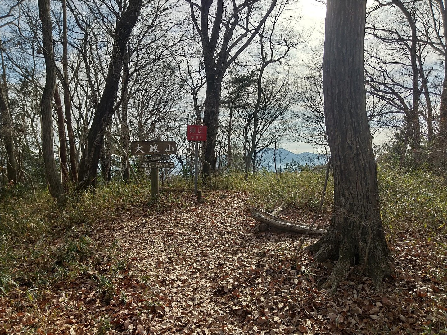 大政山 / Woo Mi boarさんの大政山・浅間山の活動データ | YAMAP / ヤマップ