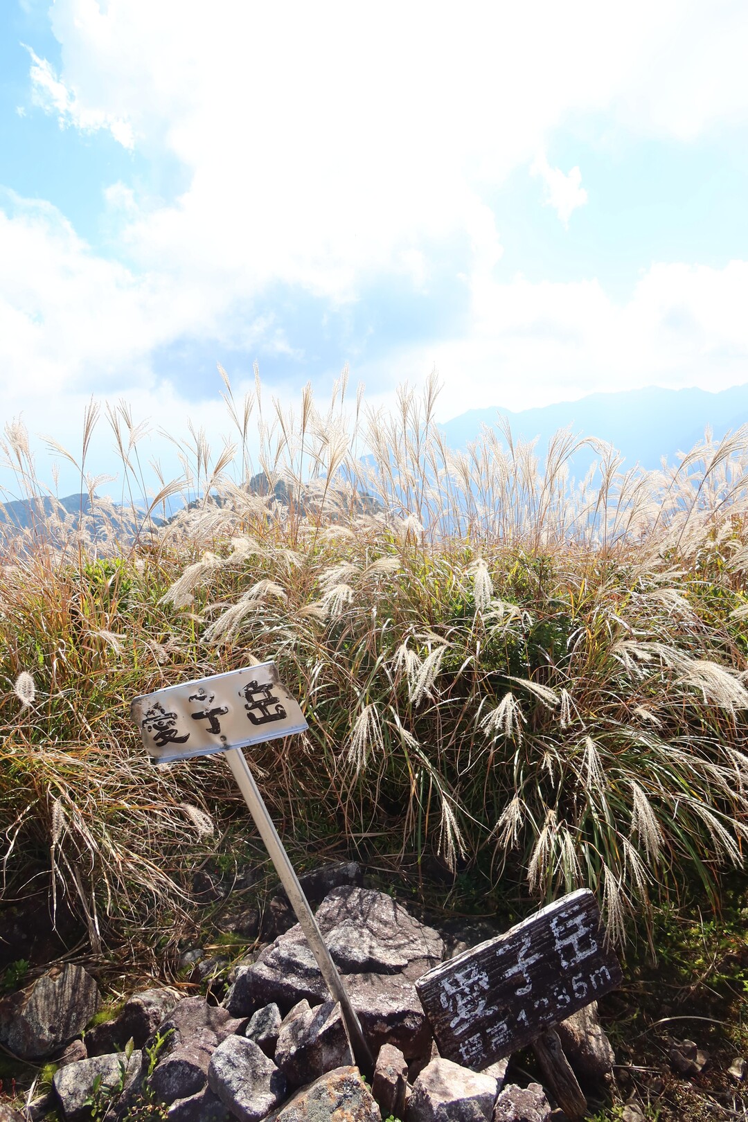 屋久島＃2 厳しい岩場の愛子岳 / Mt.Keyさんの屋久島・宮之浦岳の活動データ | YAMAP / ヤマップ