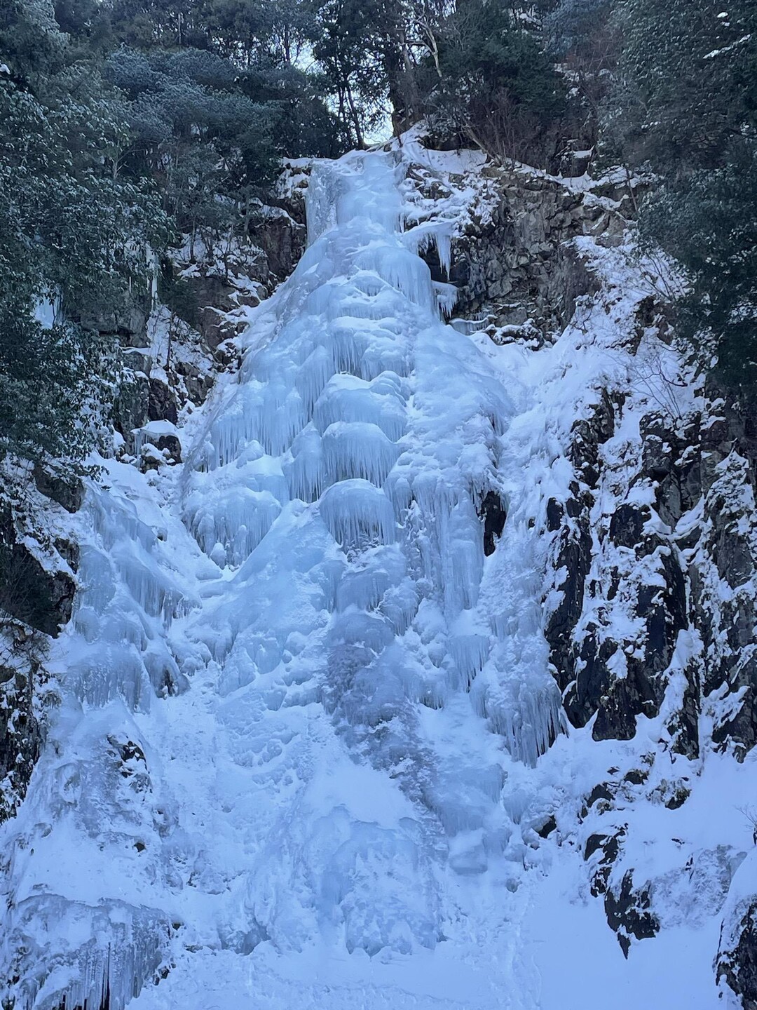 小秀山 ️ / hikoさんの小秀山の活動日記 | YAMAP / ヤマップ