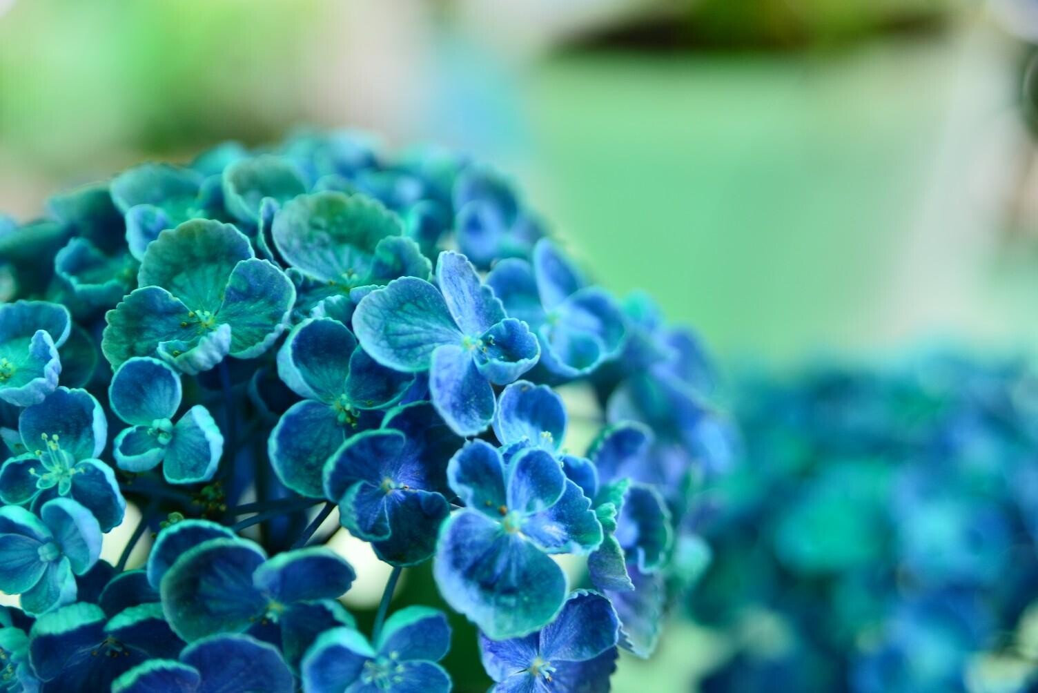 2023.06.04(日) 14:20 / のりすさんのモーメント | YAMAP / ヤマップ