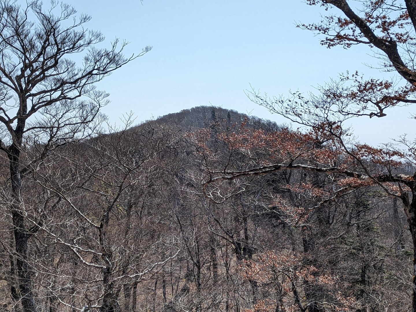 😃明神岳・桧塚💦関西百名山#68・69 / "satoh"さんの桧塚奥峰・明神岳・薊岳の活動日記 | YAMAP / ヤマップ