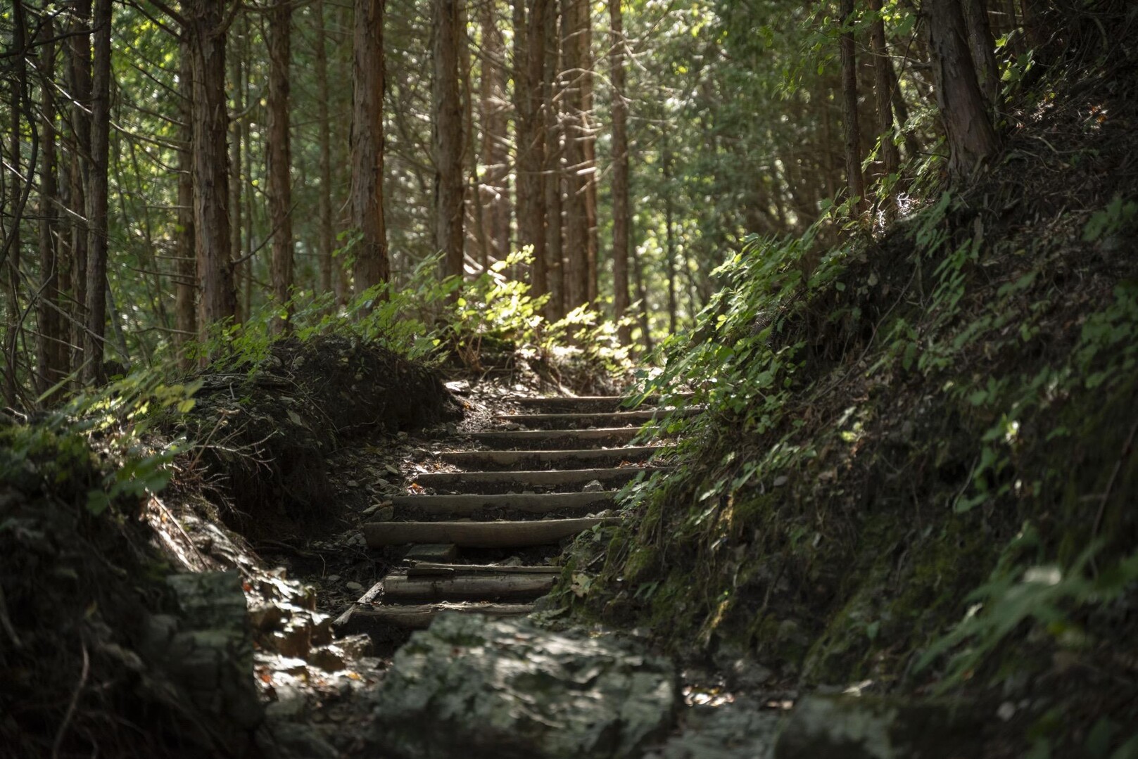 女人禁制の山 山上ヶ岳 / m_m.stさんの観音峯山・大普賢岳・山上ヶ岳・稲村ヶ岳の活動データ | YAMAP / ヤマップ