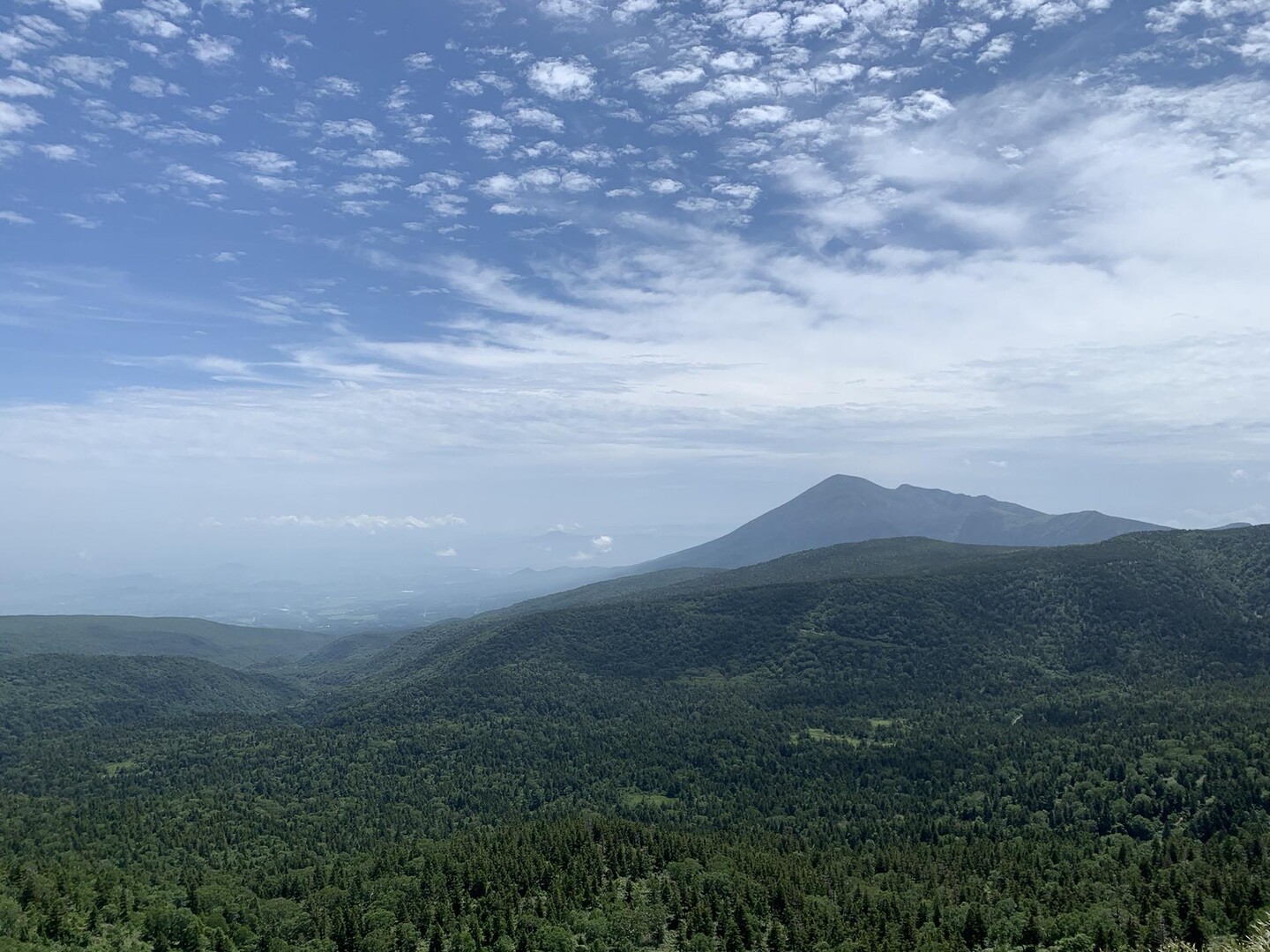 R5.7.8 畚岳・諸檜岳・前諸桧・嶮岨森 / あおかつさんの三ッ石山・大深岳・諸桧岳の活動日記 | YAMAP / ヤマップ