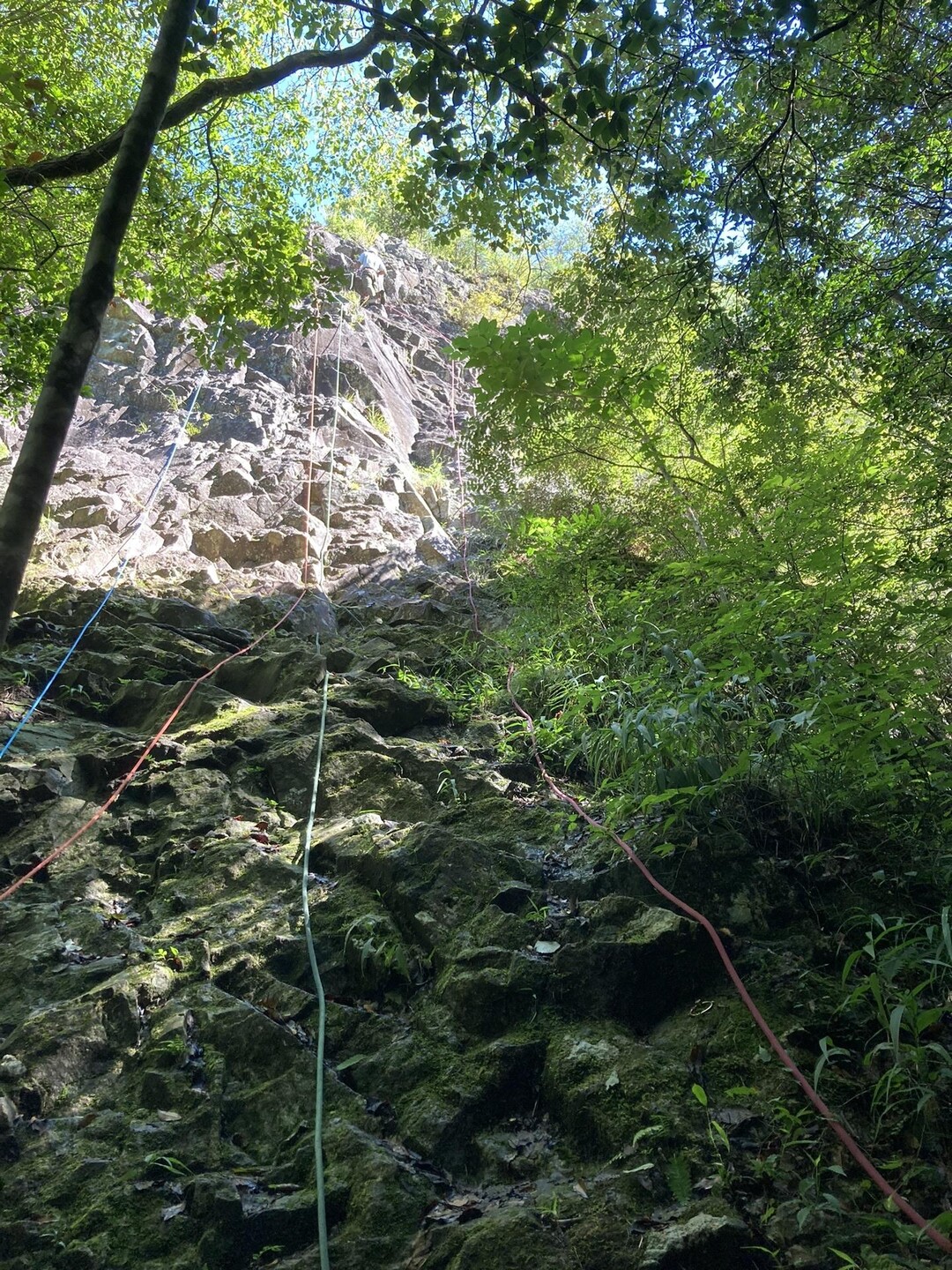 岩登りトレーニング🧗 ハーネス装着して... / yossyさんのモーメント | YAMAP / ヤマップ