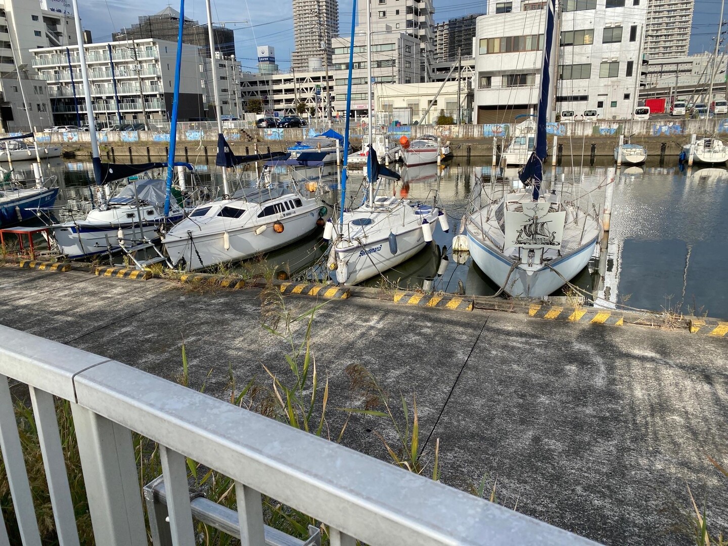 土浦港ちょいノルディックウオーキング ️... / Bull&Umiさんのモーメント | YAMAP / ヤマップ