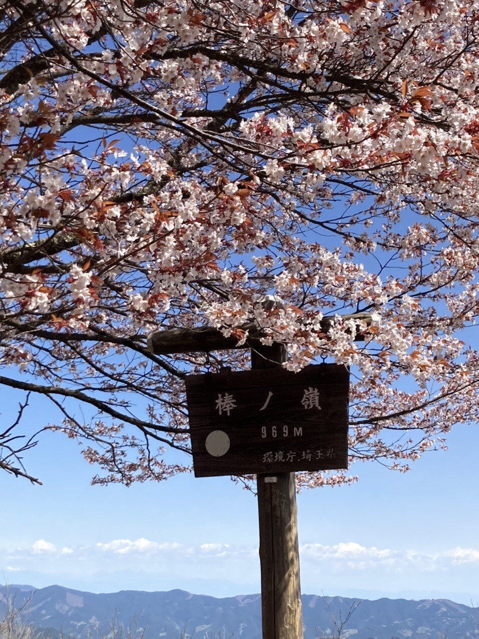 棒ノ嶺棒ノ折山・黒山・逆川ノ丸・興越山・岩茸石山・馬仏山・惣岳山 こばんさんの高水山・岩茸石山・惣岳山の活動データ Yamap