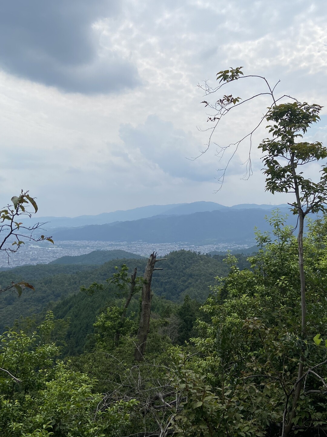 y.kさんの投稿したフィールドメモ | YAMAP / ヤマップ