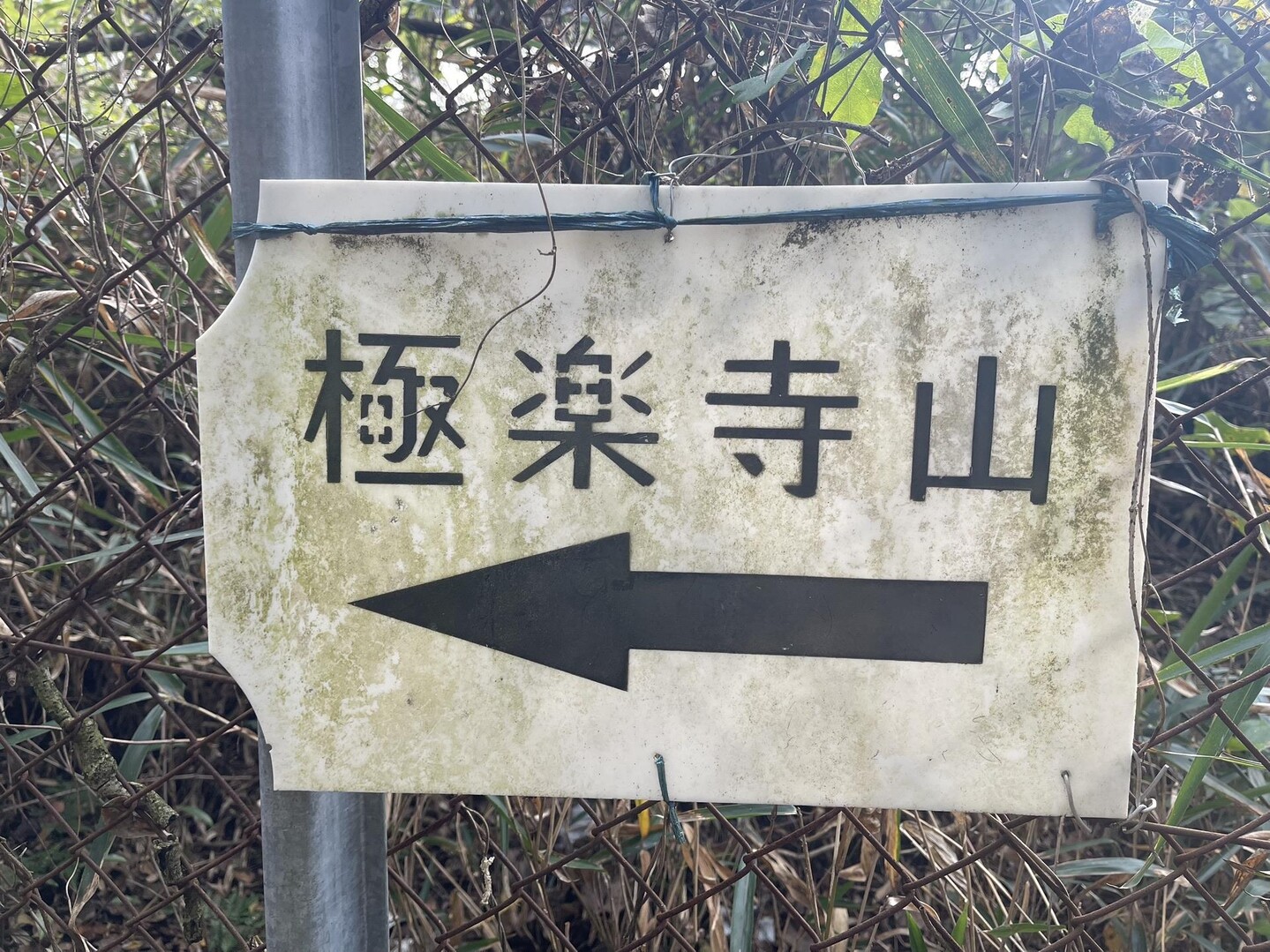 極楽寺山 / moomin33さんの極楽寺山の活動データ | YAMAP / ヤマップ