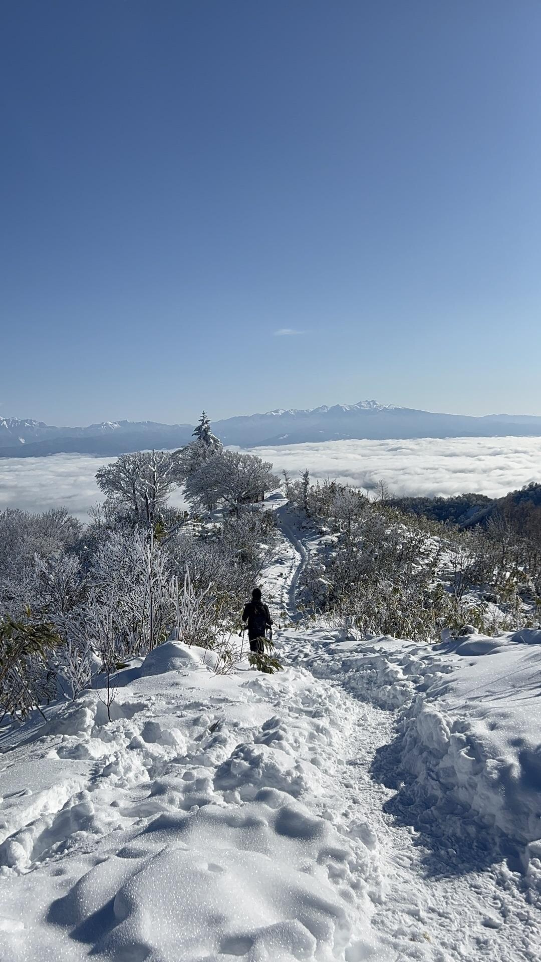 猪臥山 / きらこさんの猪臥山の活動日記 | YAMAP / ヤマップ