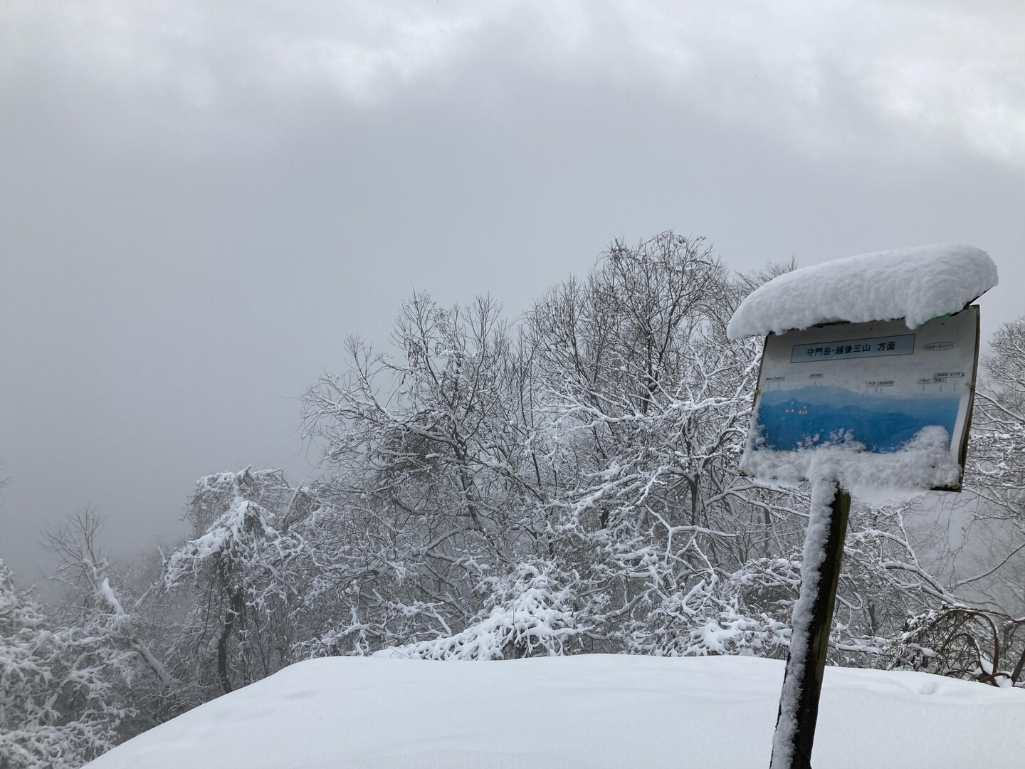 猿毛岳 / hi-chanさんの猿毛岳の活動データ | YAMAP / ヤマップ