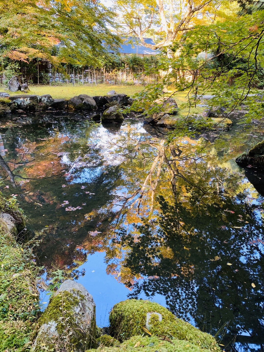 美杉へGo👍道の駅巡りと北畠神社⛩ / chiiiyanさんのウォーキングの活動日記 | YAMAP / ヤマップ