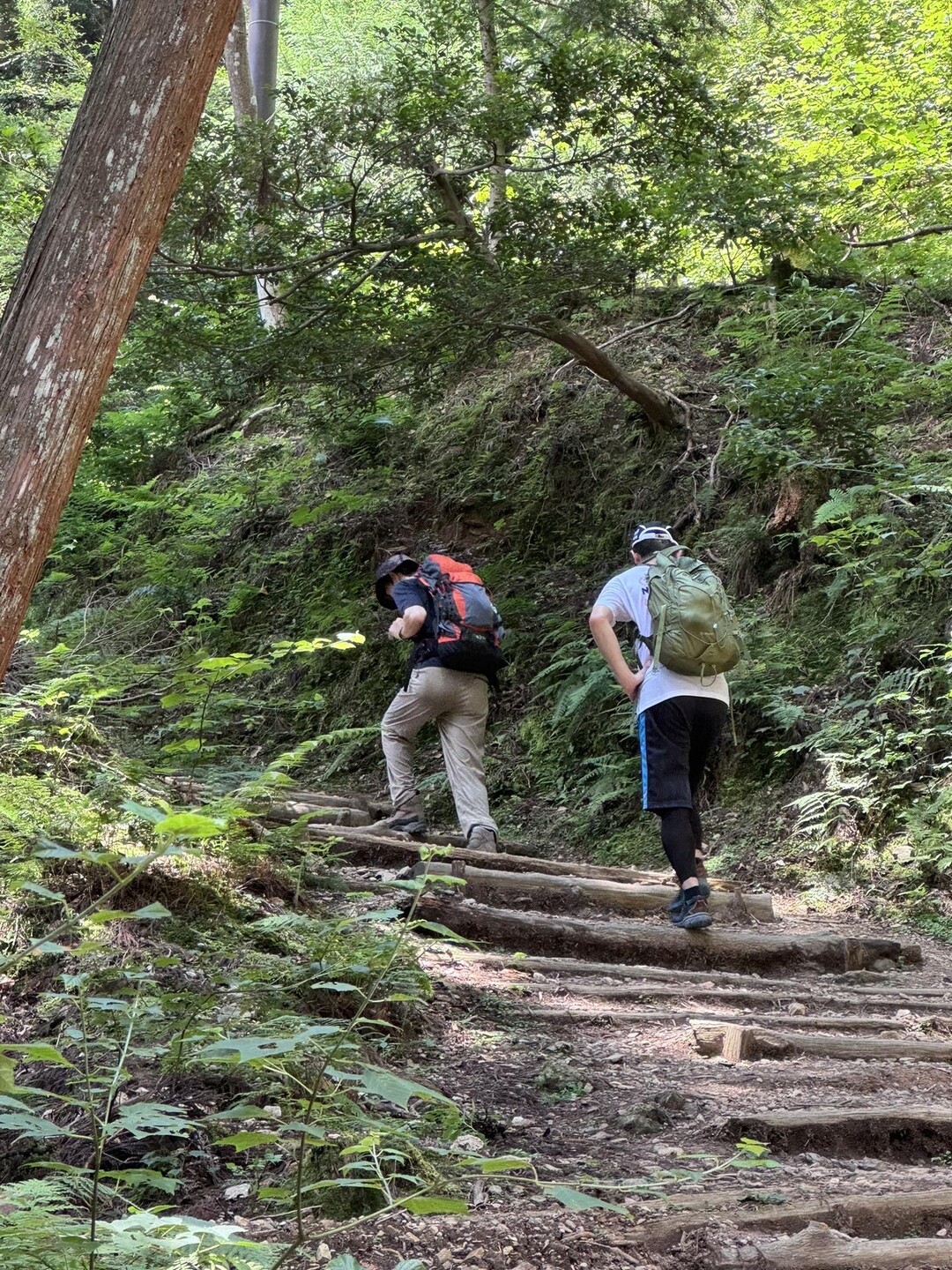 愛宕山 / s.KATOさんの愛宕山・三頭山・朝日峯の活動データ | YAMAP / ヤマップ