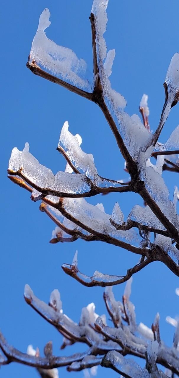 雪山ENJOY御在所岳 / いずたまさんの御在所岳（御在所山）・雨乞岳の活動データ | YAMAP / ヤマップ