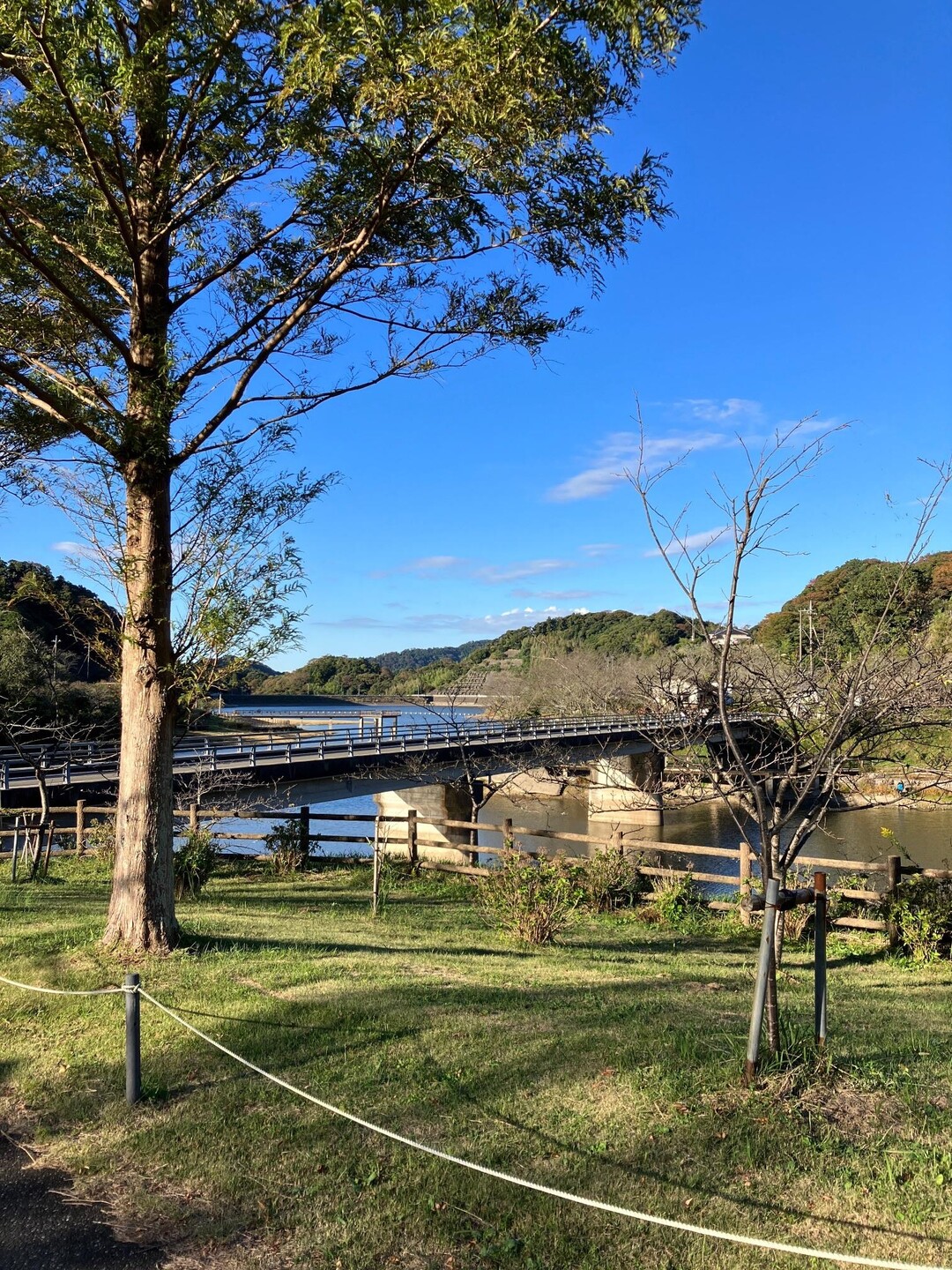 津森山・人骨山 / 8Man.GTさんの伊予ヶ岳・人骨山・津森山の活動データ | YAMAP / ヤマップ