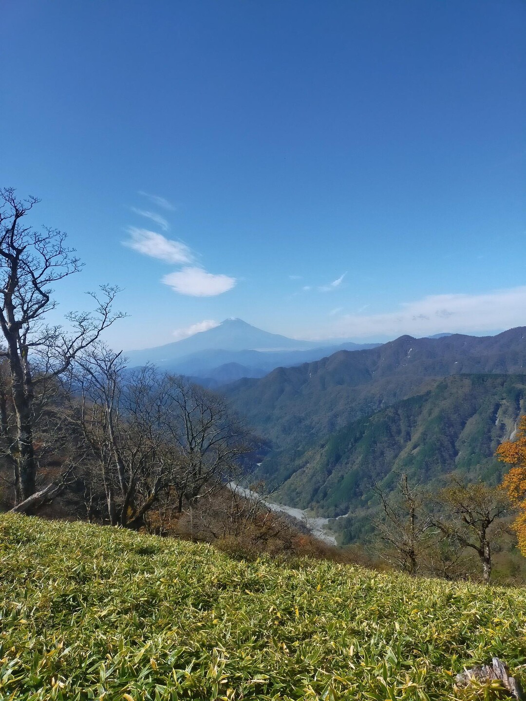 丹沢山 / ゴルカンプさんの丹沢山の活動データ | YAMAP / ヤマップ
