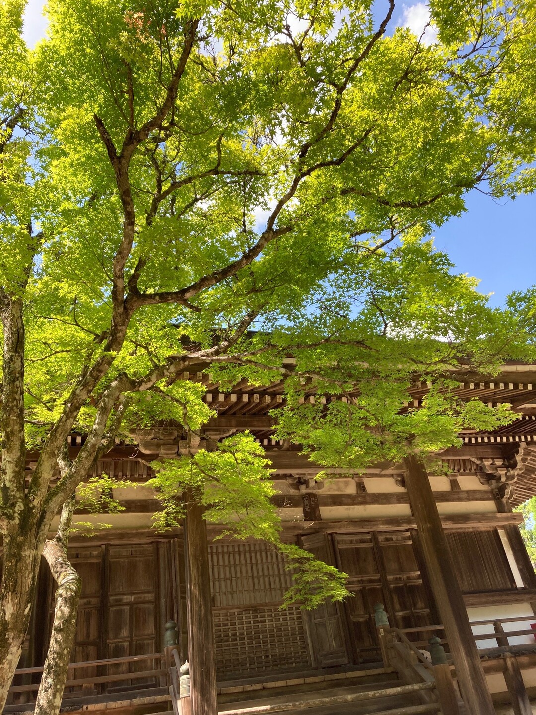 愛宕山から高雄山、神護寺 / ジャムさんの愛宕山・三頭山・朝日峯の活動日記 | YAMAP / ヤマップ