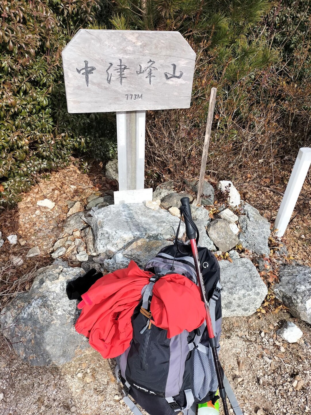 多家良山・中津峰山 / 多羅葉(たらよう)さんの剣山の活動データ | YAMAP / ヤマップ