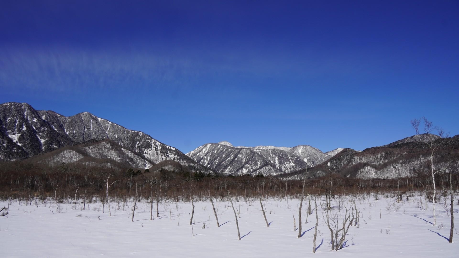快晴の戦場ヶ原 / クボリン 1123226さんの男体山の活動データ | YAMAP / ヤマップ