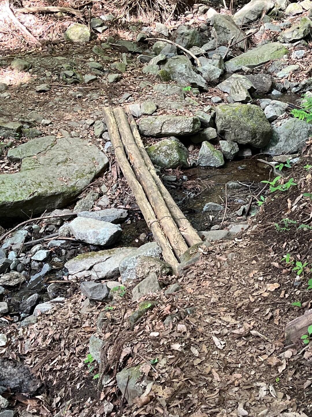 mskふぅさんの投稿したフィールドメモ | YAMAP / ヤマップ