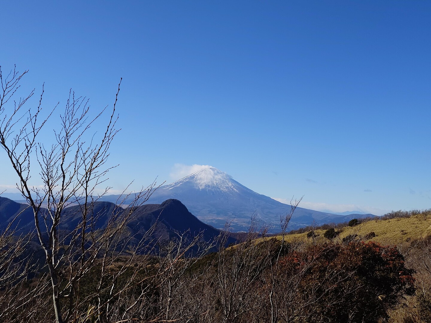 《箱根》明神ヶ岳～明星ヶ岳 / nazさんの金時山・明神ヶ岳の活動データ | YAMAP / ヤマップ