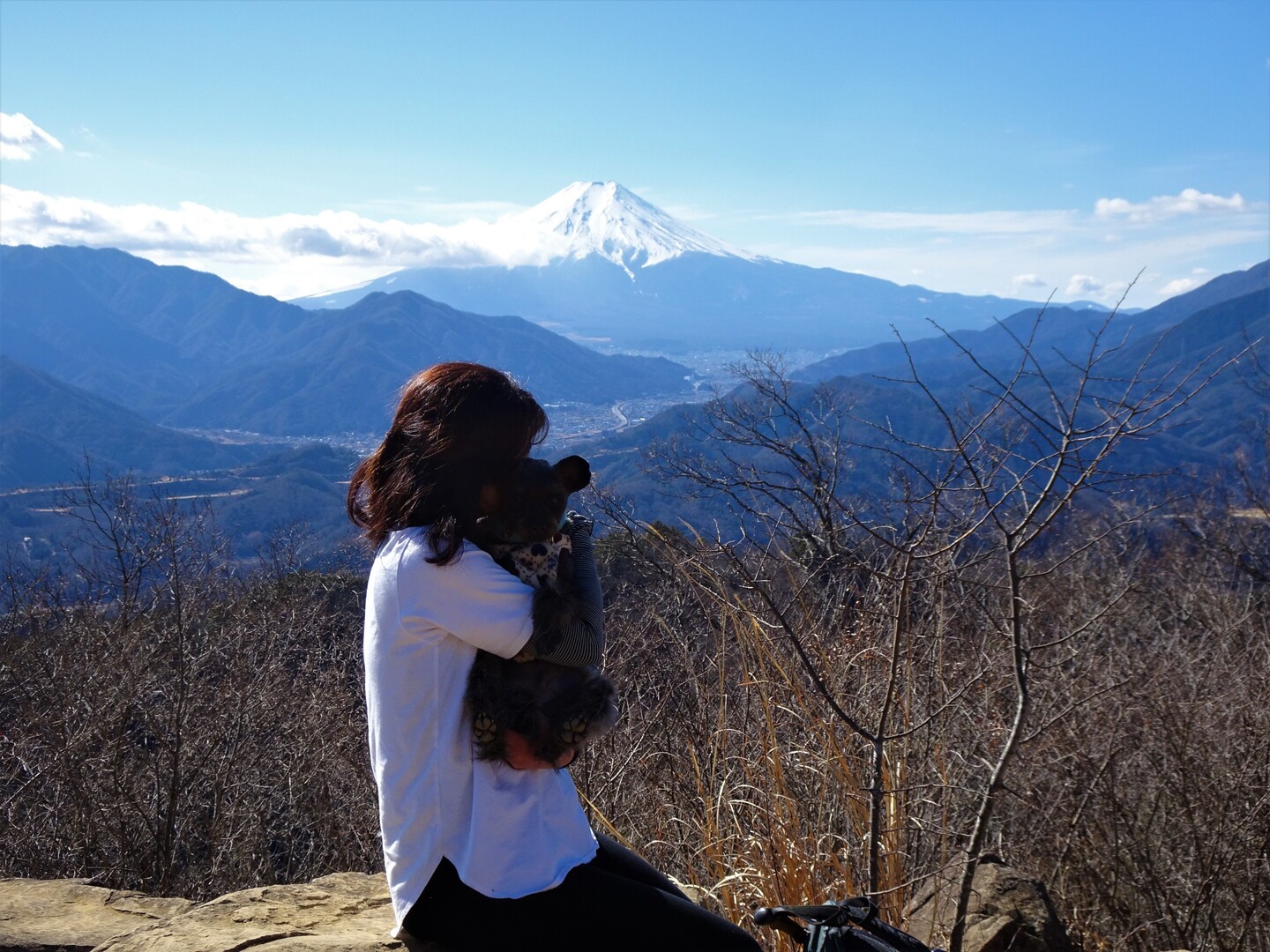 高川山で危うく道迷い😥 / koroponさんの高川山の活動データ | YAMAP / ヤマップ