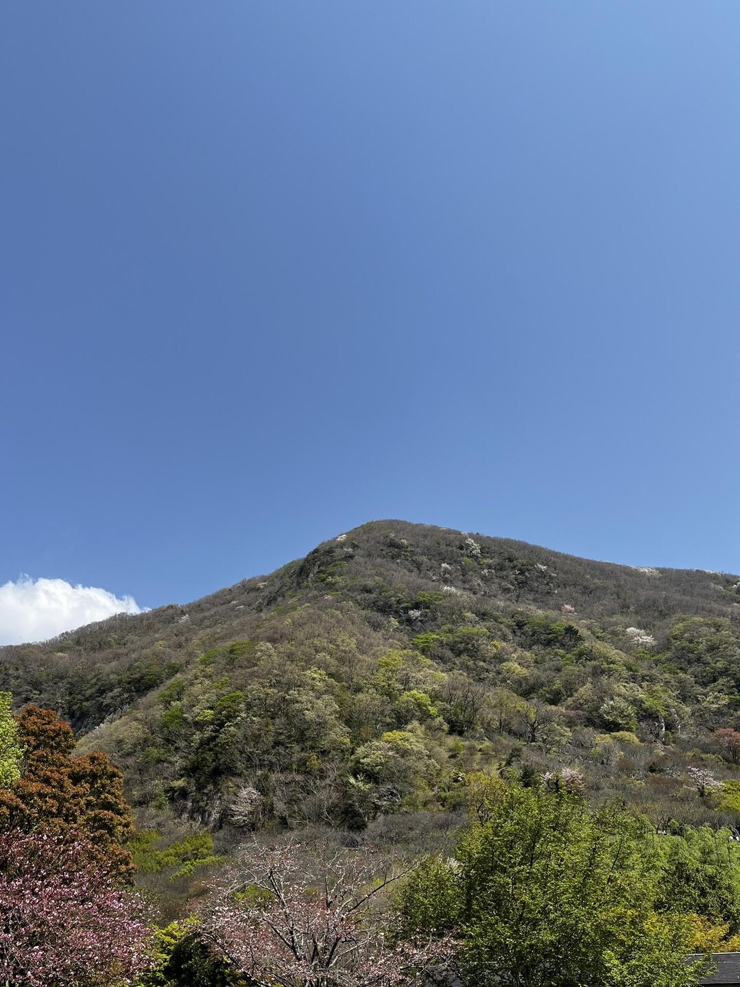 幕山 / tomongerさんの幕山・南郷山の活動データ | YAMAP / ヤマップ