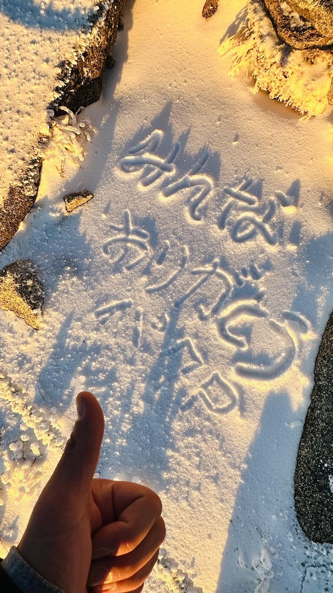 感謝と愛を🙏 ️ / Park Junさんのモーメント | YAMAP / ヤマップ