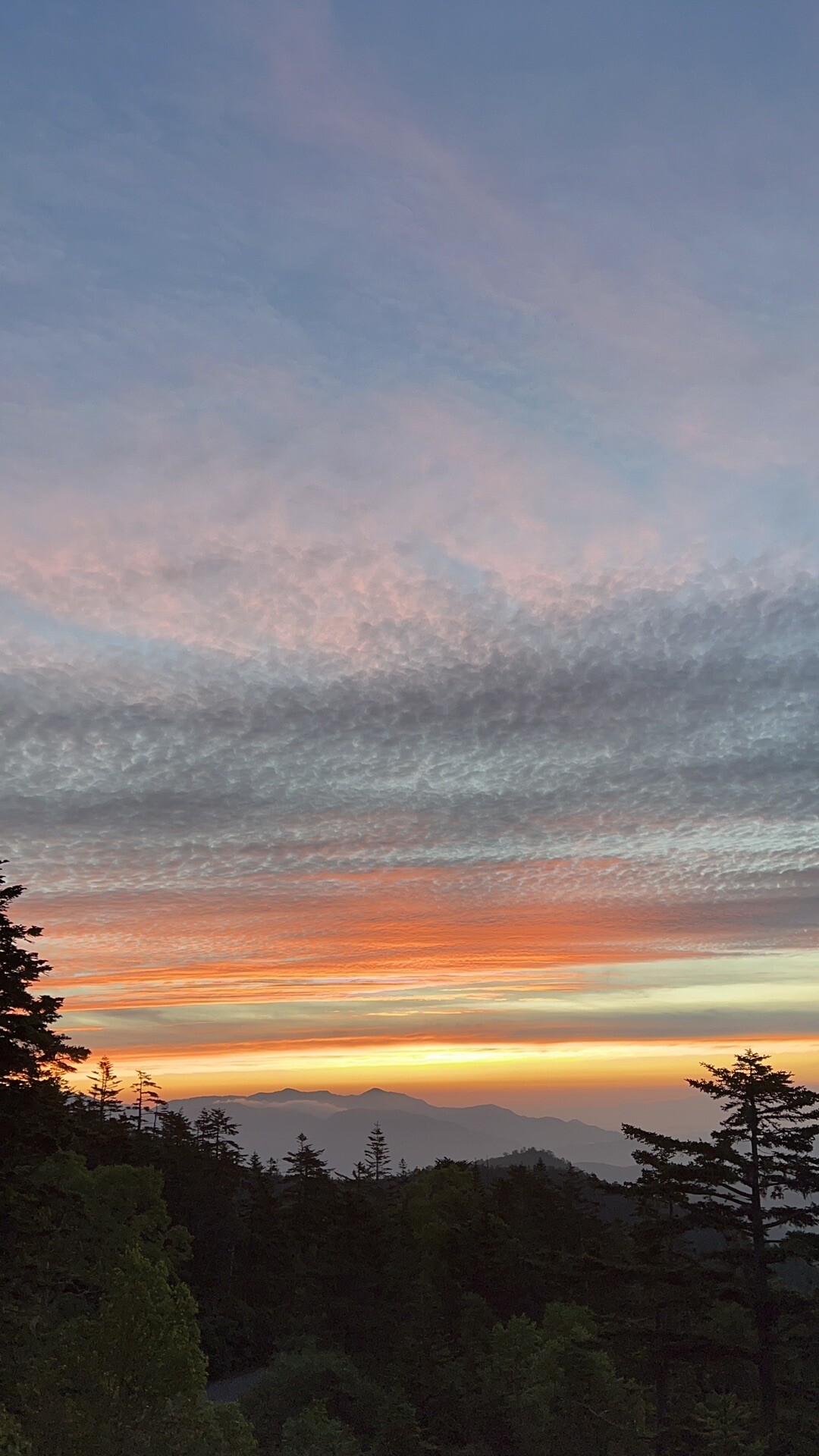 乗鞍の朝！ / nana🔰さんのモーメント | YAMAP / ヤマップ