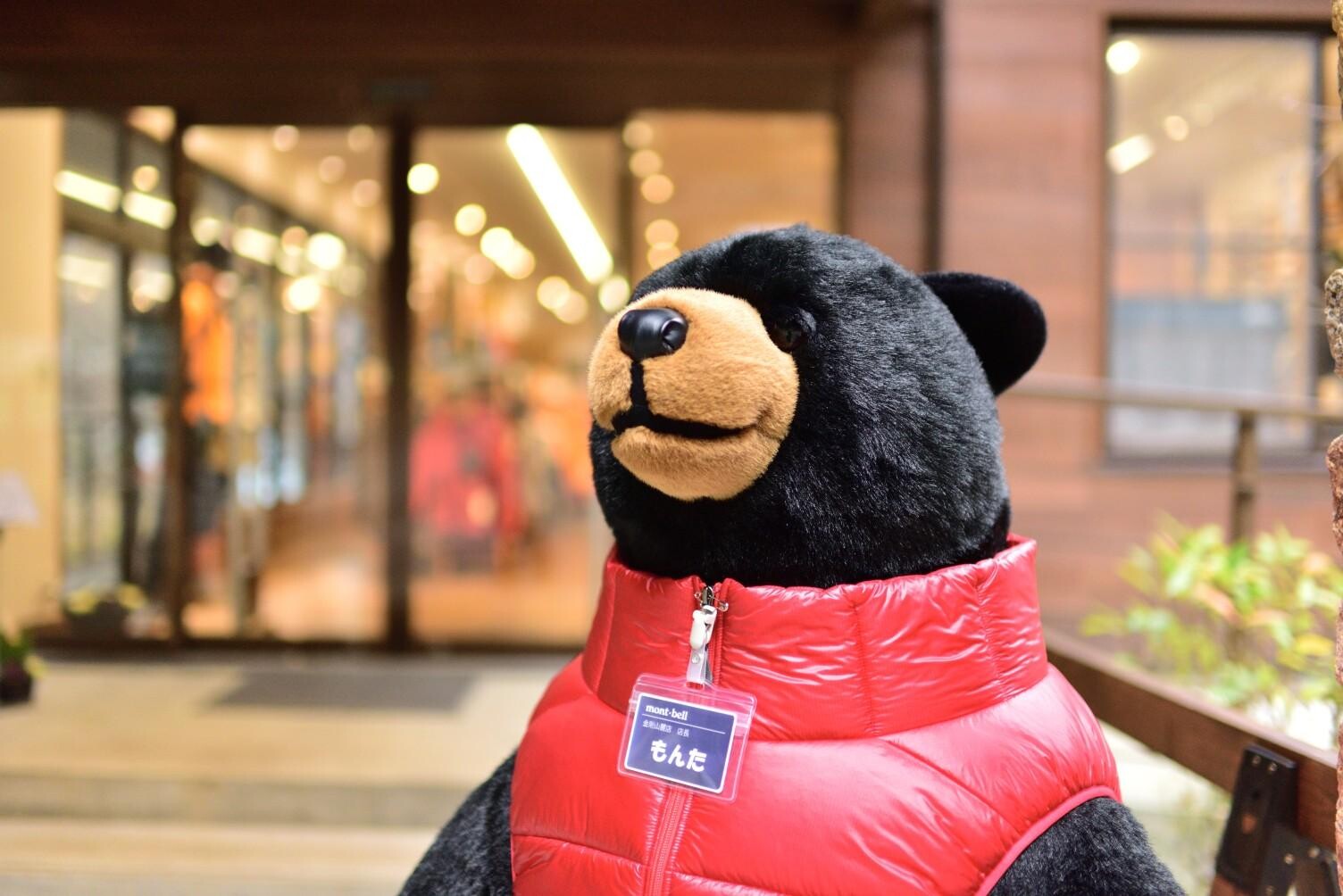 のんびり金剛山☕🍴 / ⛅Nori-jiさんの金剛山・二上山・大和葛城山の活動データ | YAMAP / ヤマップ