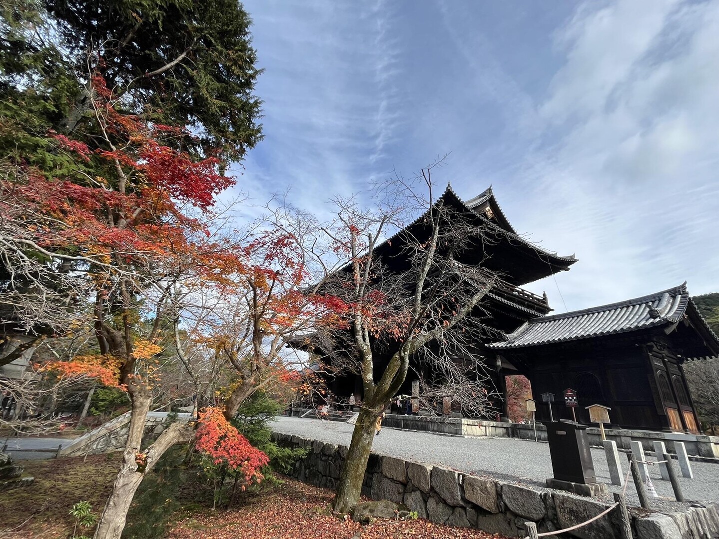 紅葉@京都 / Telemacさんのモーメント | YAMAP / ヤマップ