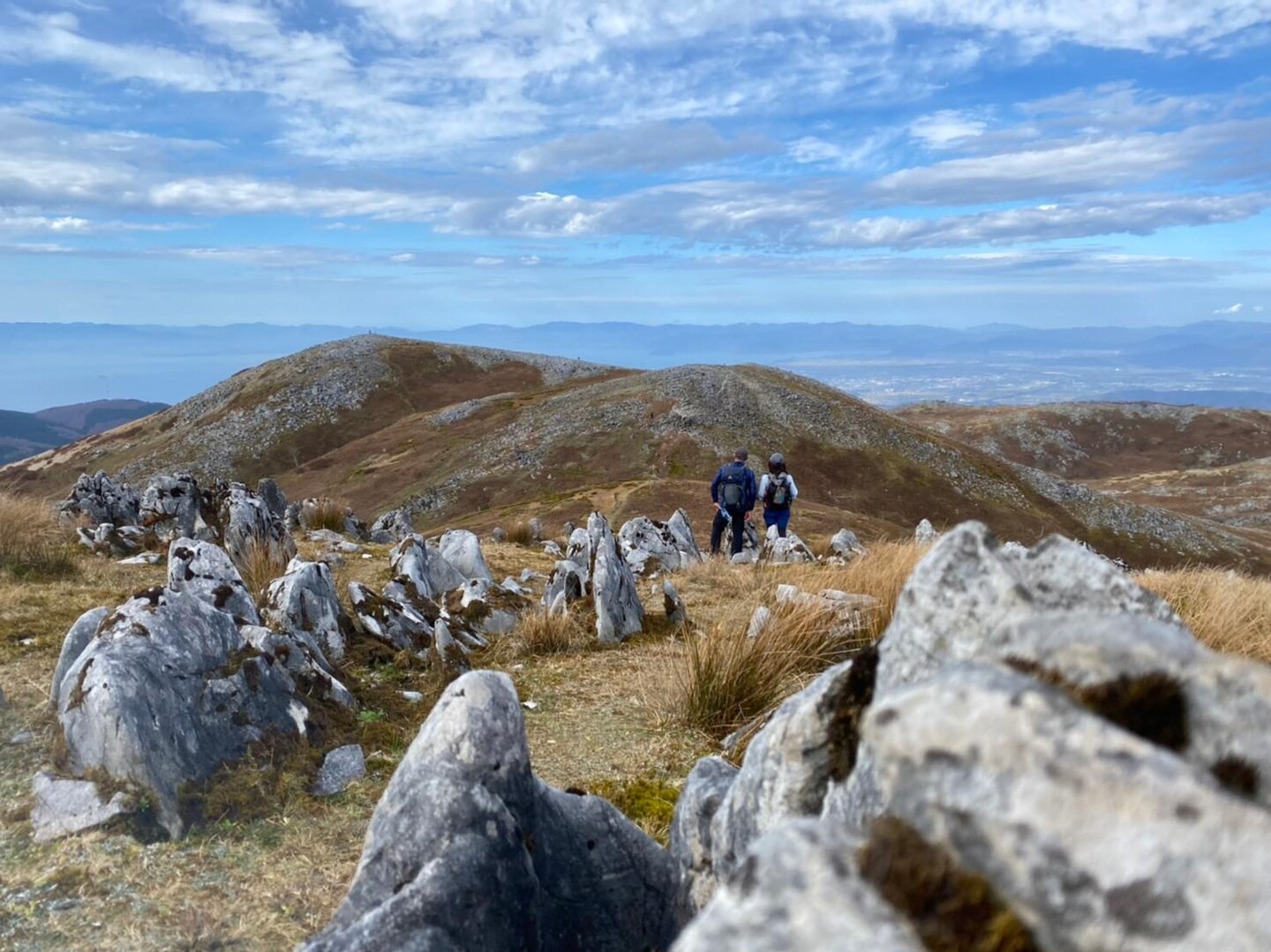霊仙山最高点・霊仙山 / 🌸Yukie⛰️🌿♨️🎶さんの霊仙山の活動データ | YAMAP / ヤマップ
