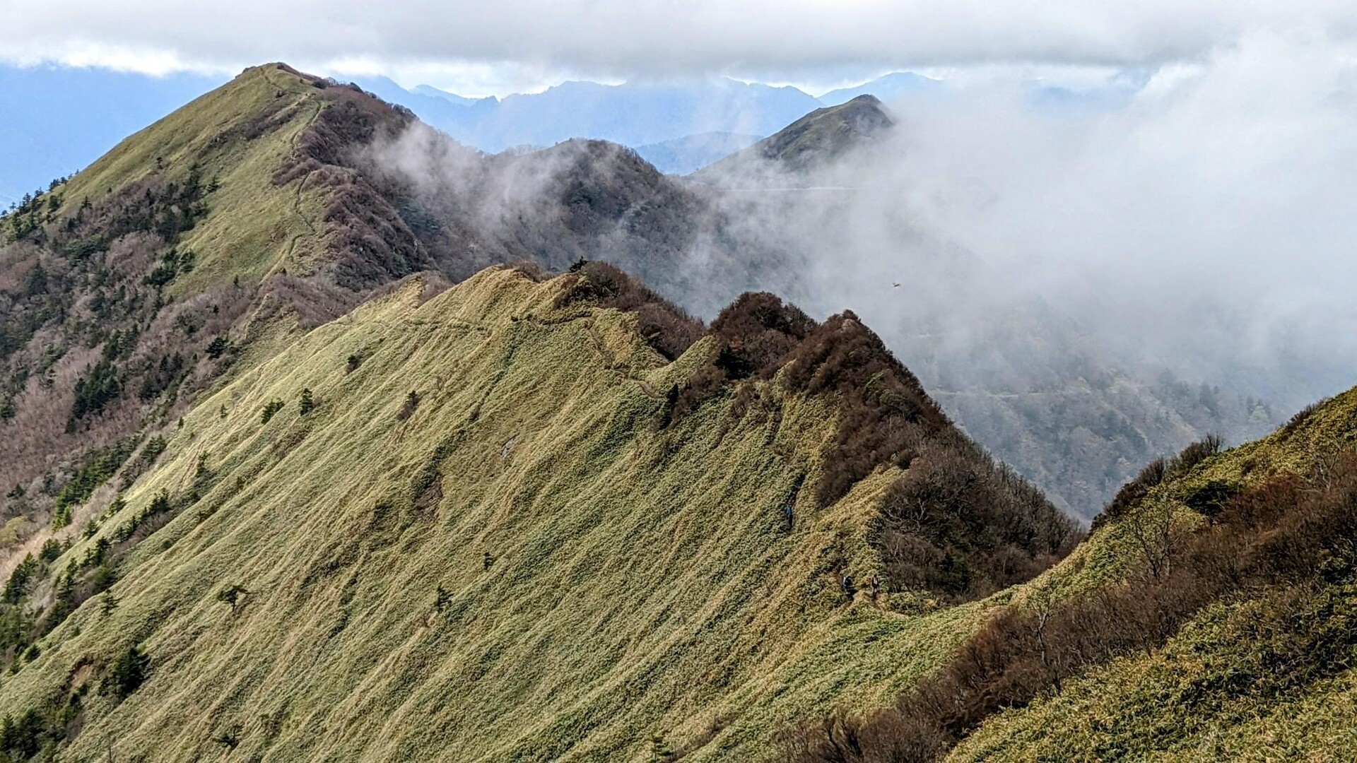 東黒森〜UFOライン〜 / だいさんの瓶ヶ森・伊予富士の活動日記 | YAMAP / ヤマップ