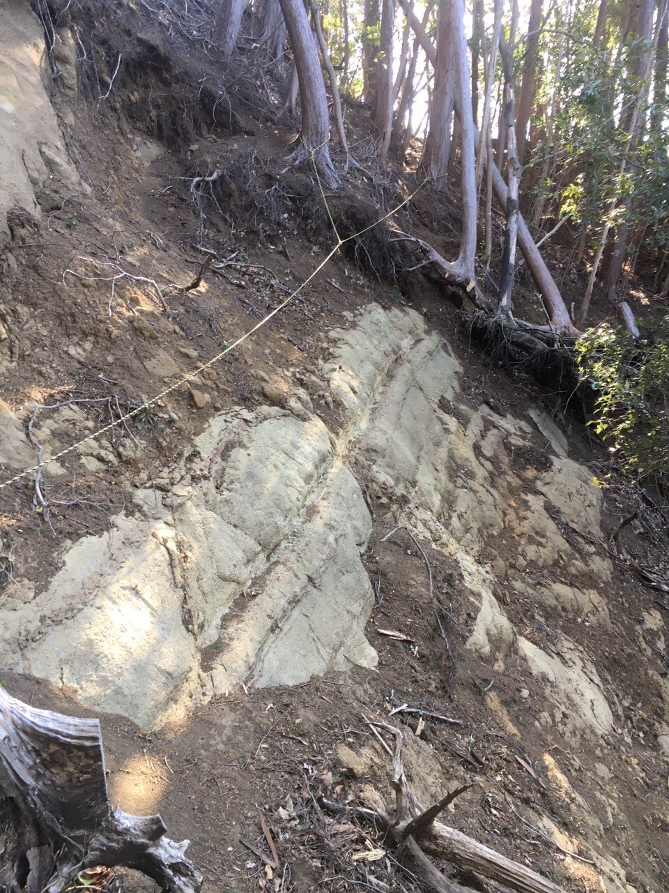 nachaさんの投稿したフィールドメモ | YAMAP / ヤマップ