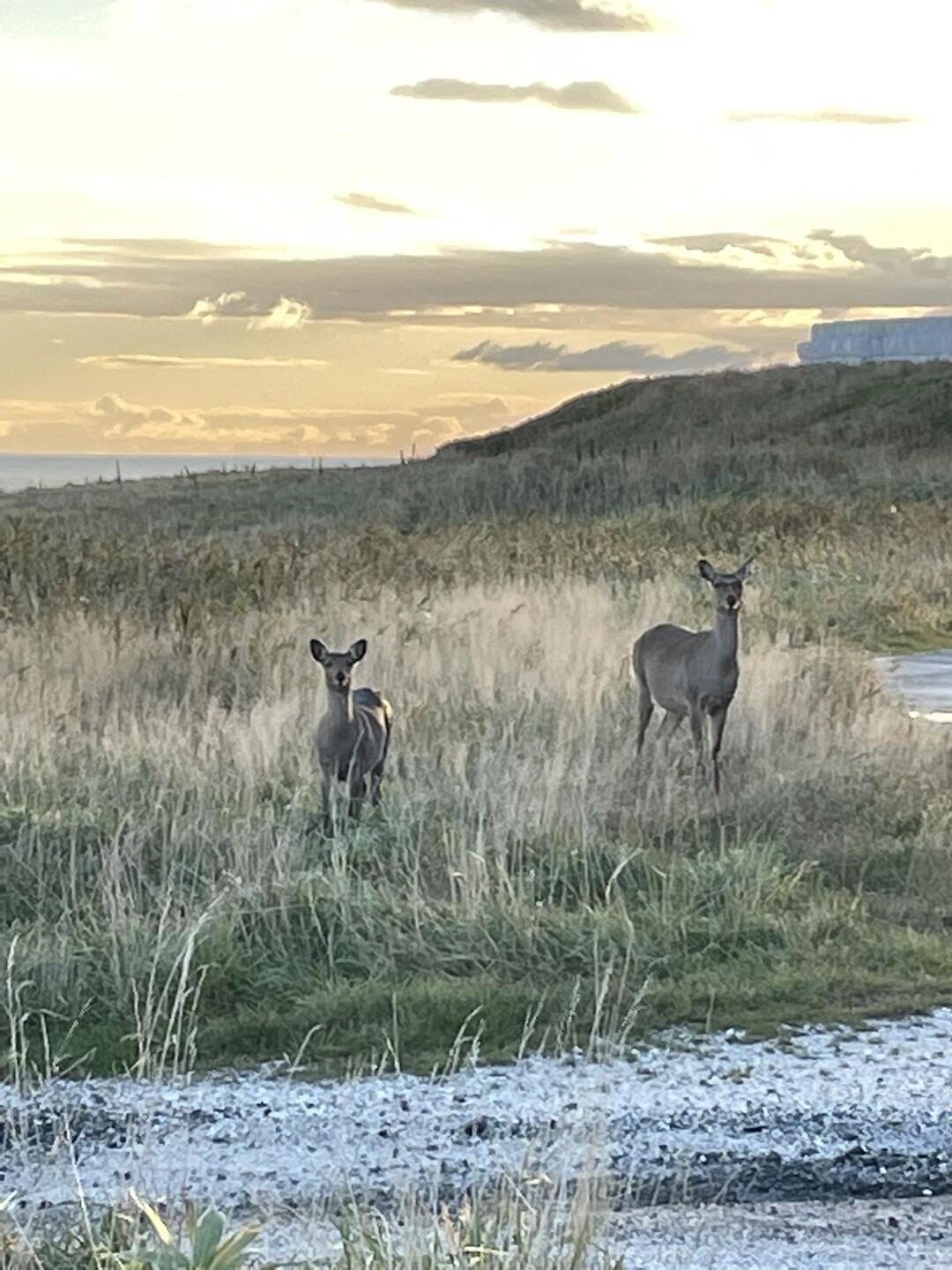 2022.10.18(火) 02:13 / ぶるさんのモーメント | YAMAP / ヤマップ