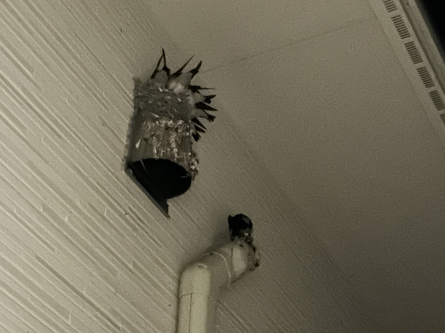 すこーーし、気になって覗いて見ました こ... / sakoさんのモーメント | YAMAP / ヤマップ