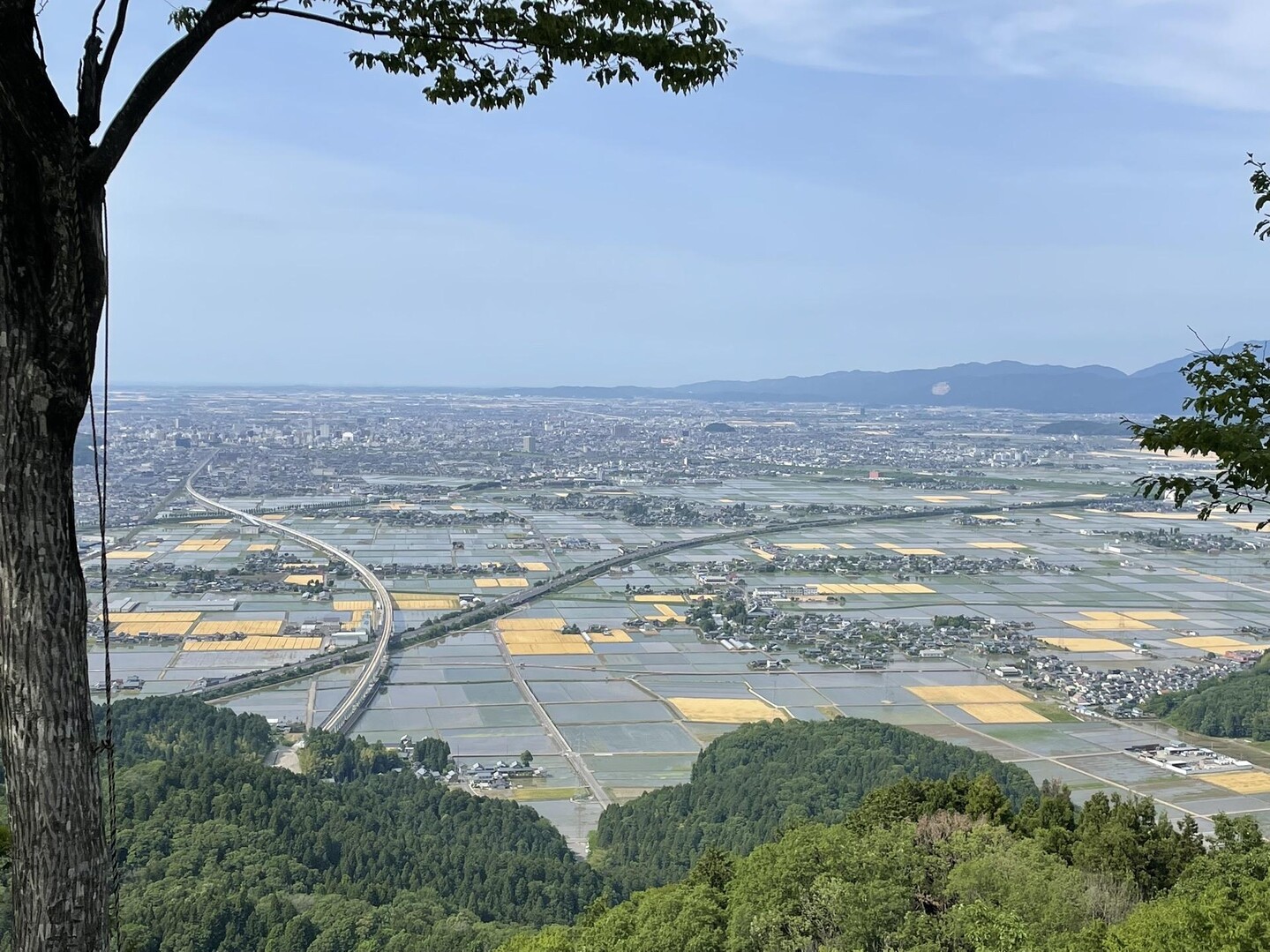 文殊山 / Mitsuさんの文殊山の活動データ | YAMAP / ヤマップ