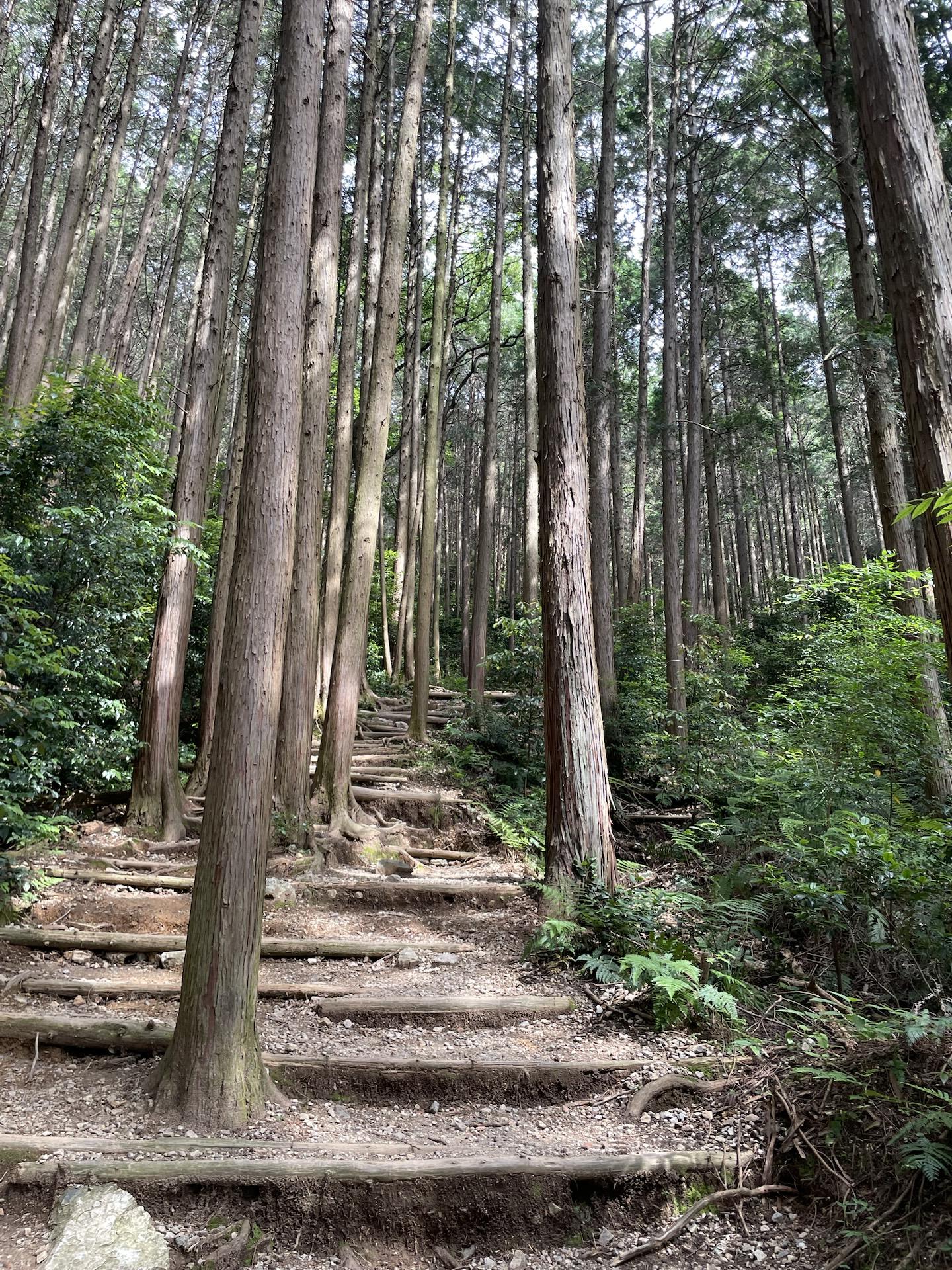 多度山 / mimiさんの多度山・美濃松山・石津御嶽の活動データ | YAMAP / ヤマップ