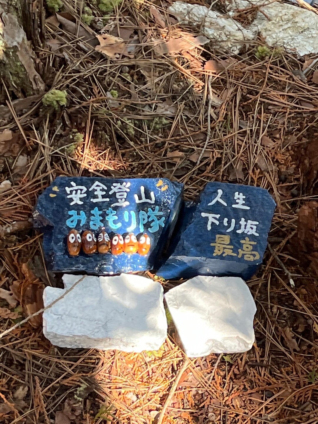 米田白山 / mintさんの米田白山の活動データ | YAMAP / ヤマップ