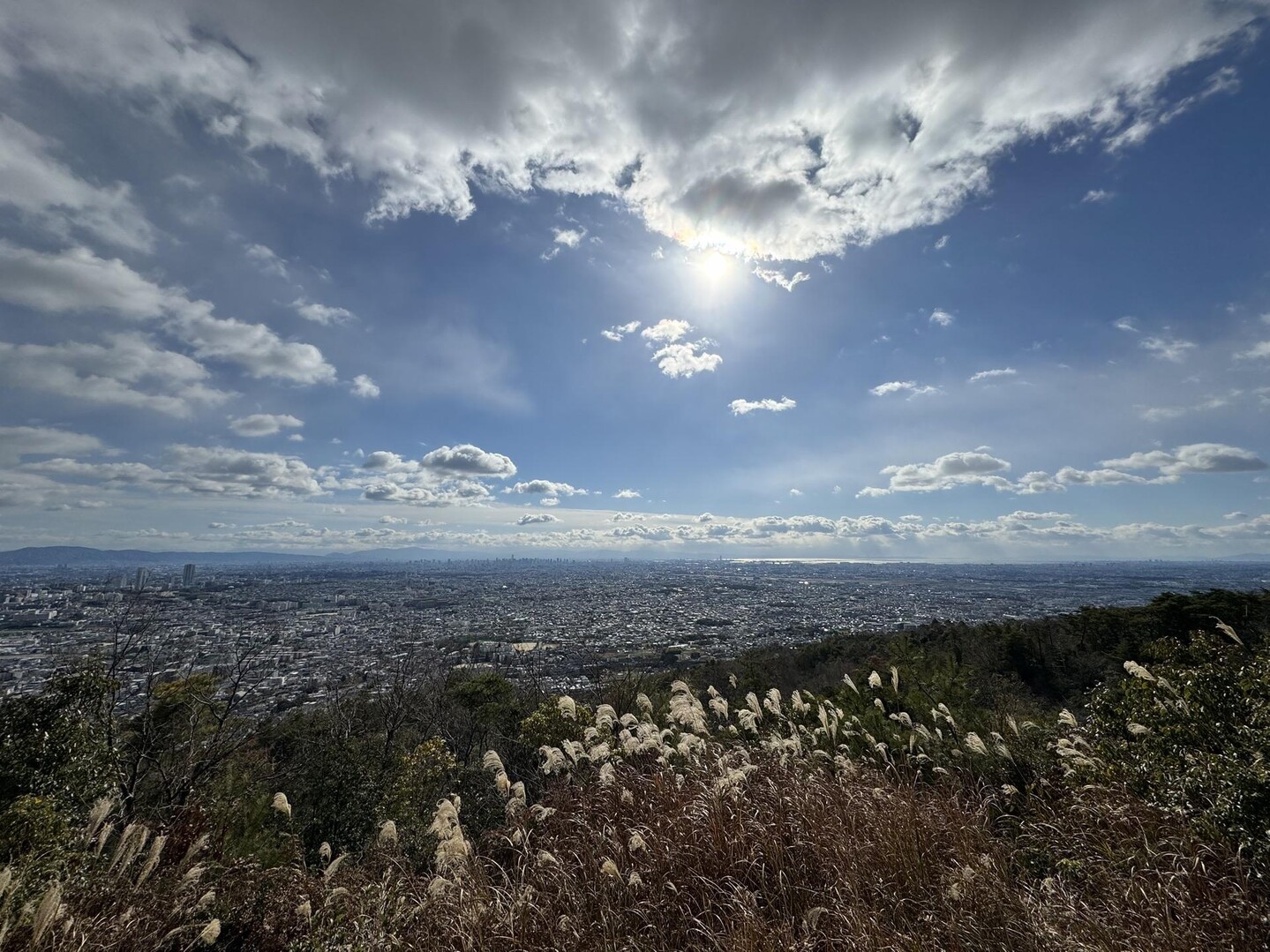 わくわく展望台 / maecciさんの六個山・鉢伏山・明ヶ田尾山・五月山の活動データ | YAMAP / ヤマップ