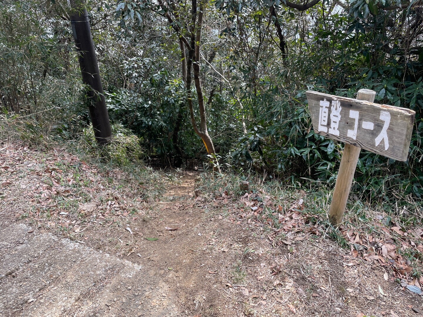 von Sigさんの投稿したフィールドメモ | YAMAP / ヤマップ