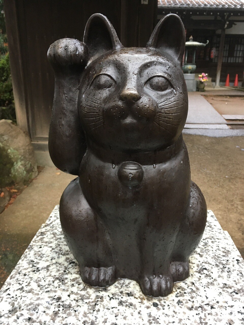 キッシーのページ | YAMAP / ヤマップ