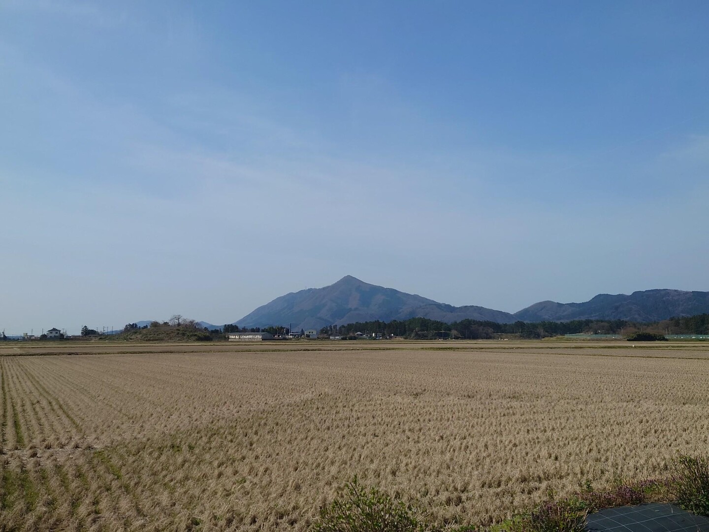 角田山ラウンドハーフ21k-2024-04-07 / hamapu-さんのランニングの活動データ | YAMAP / ヤマップ