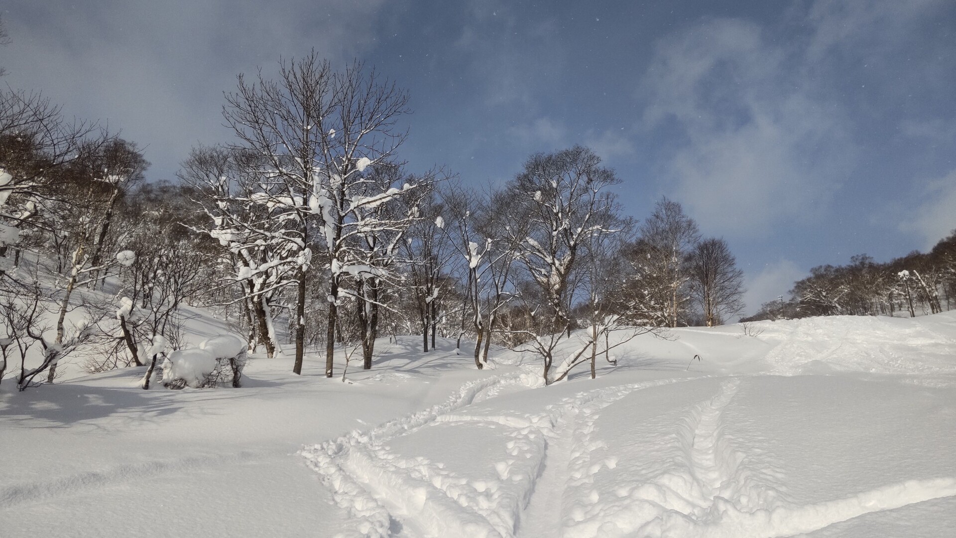チセヌプリ 832m峰 / けんいちさんのニセコアンヌプリ・イワオヌプリ・チセヌプリの活動データ | YAMAP / ヤマップ