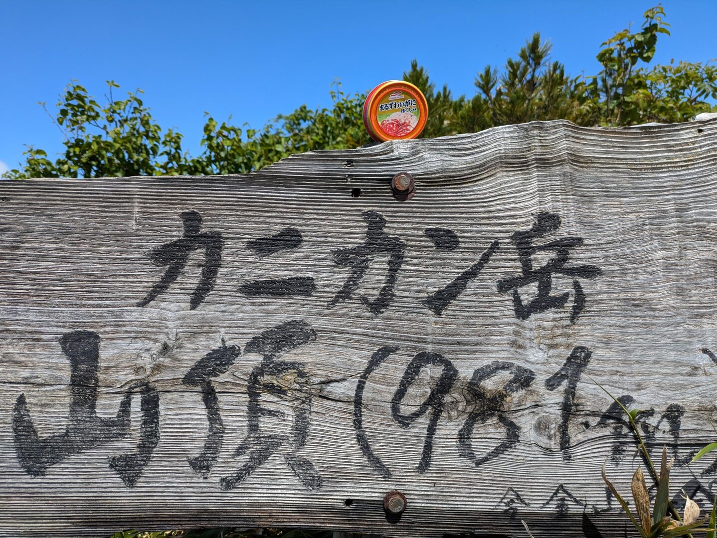 カニカン岳 / あっつんさんのカニカン岳の活動データ | YAMAP / ヤマップ