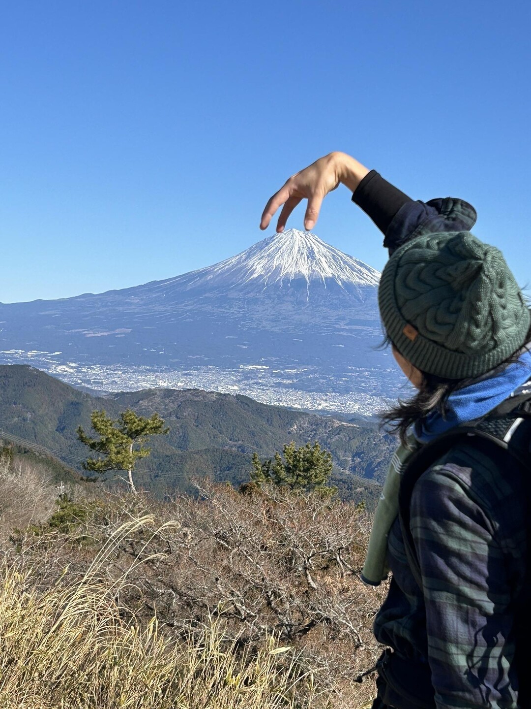 浜石岳 / yoshikoさんの薩埵峠（薩た峠・サッタ峠）・浜石岳の活動データ | YAMAP / ヤマップ